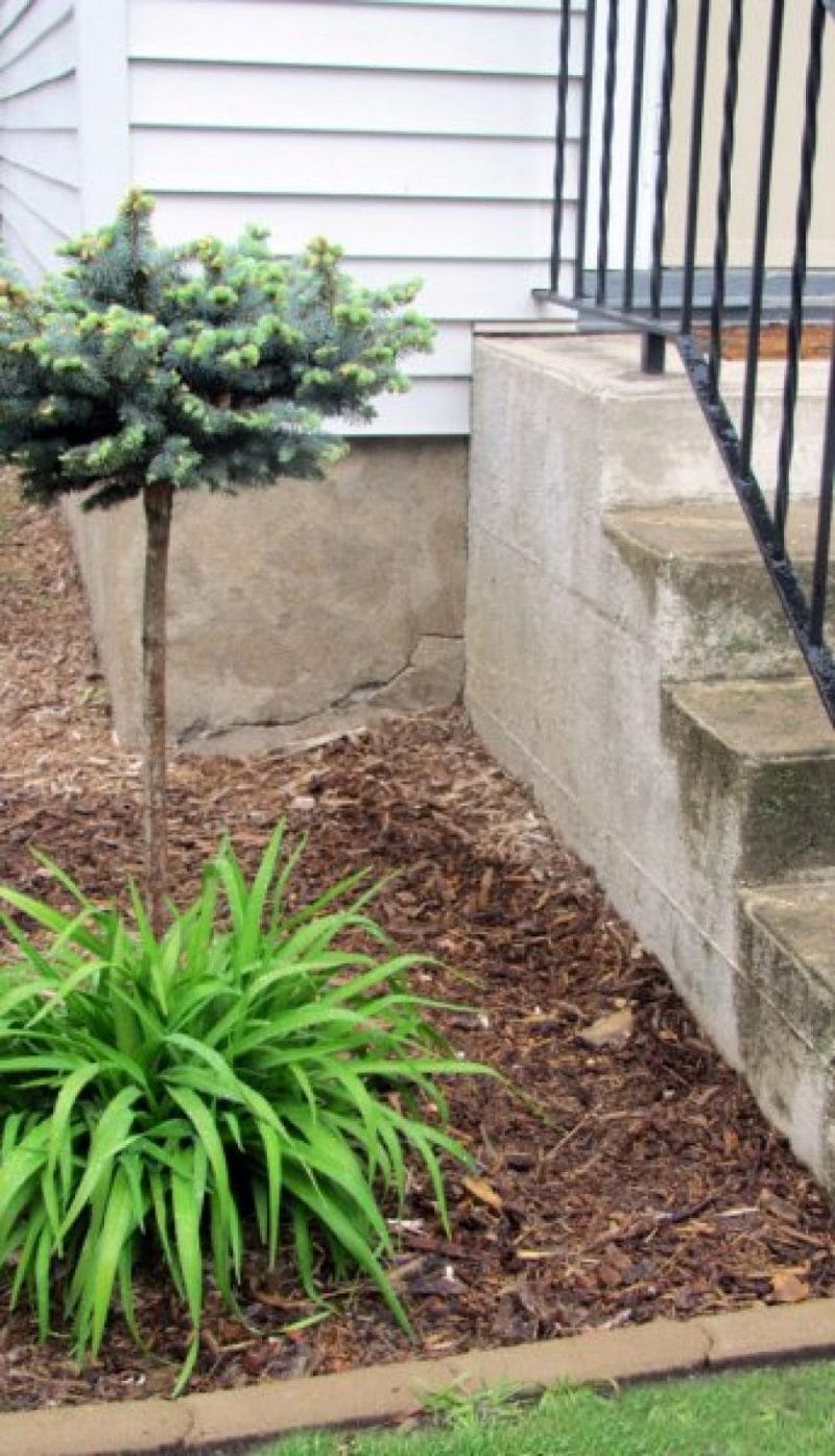 Residential Landscaping | Winona Nursery