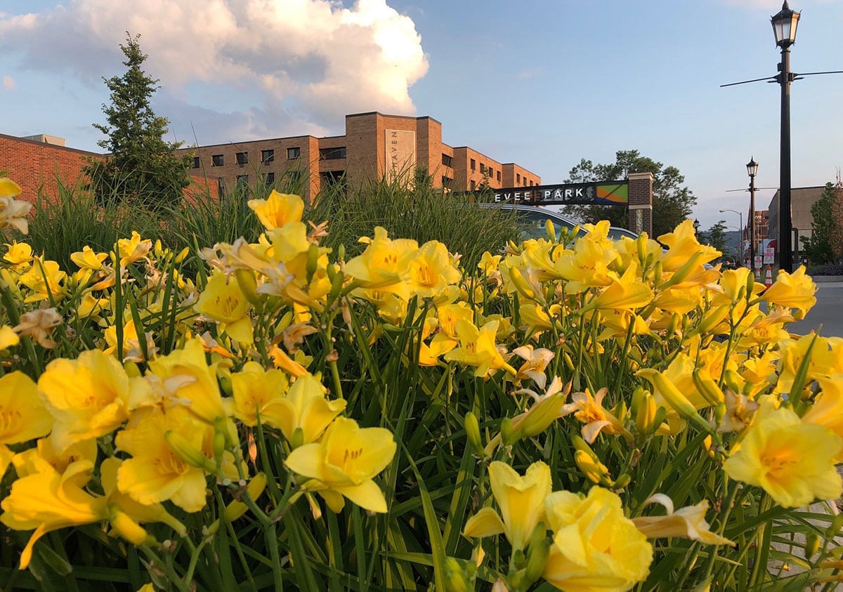 Winona Nursery - Landscape Contractors, Landscape Contractor