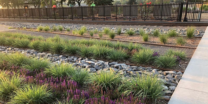 Winona Nursery - Landscape Contractors, Landscape Contractor